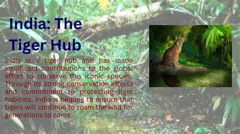 Importance Of Tigers In Indiapptx