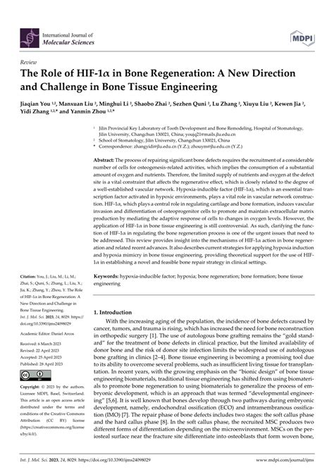 Pdf The Role Of Hif 1α In Bone Regeneration A New Direction And