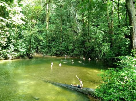 Curtinuniversity Annette Condello