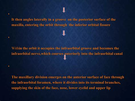 Trigeminal Nerve Maxillary Nerve And Clinical Implication Pptx