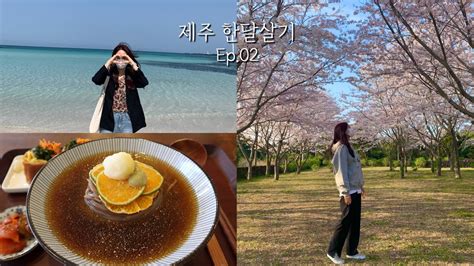 나홀로 제주 한달살기 Ep02 🍊혼인지 제주벚꽃 월정리 제주공항근처 도토리키친 우진해장국 여자혼자제주한달살기 여성전용게스트하우스 Youtube