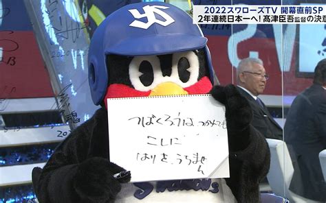 【高清】20220324swallowstv 开幕直前sp哔哩哔哩bilibili