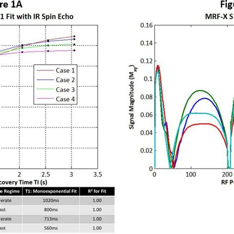 A Monoexponential T1 Values Fit From A Conventional Spin Echo Inversion Download Scientific
