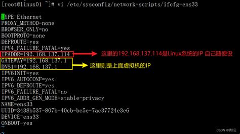 虚拟机中linux系统与主机之间通信的三种方式虚拟机与宿主计算机如何进行数据传递青⁢云的博客 Csdn博客