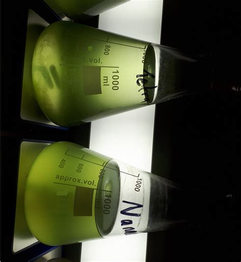 Phytoplankton Microalgae Culturing Setups Aquatic Live Food Aqua