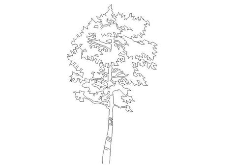 Single Tree Elevation Block Auto Cad Details Dwg File