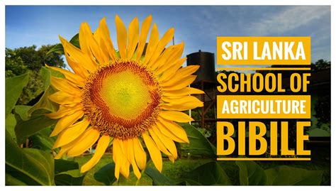 Sri Lanka Sri Lanka School Of Agriculture Labuduwa