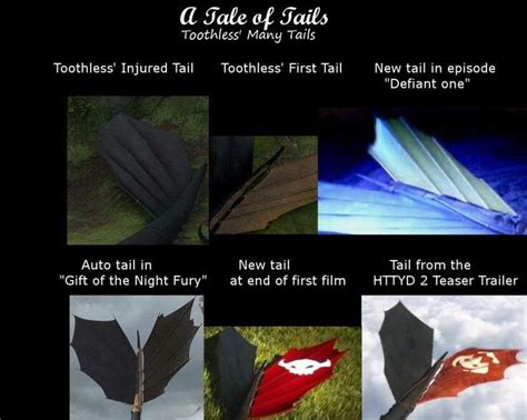 Toothless Tail Evolution How Train Your Dragon How To Train Dragon
