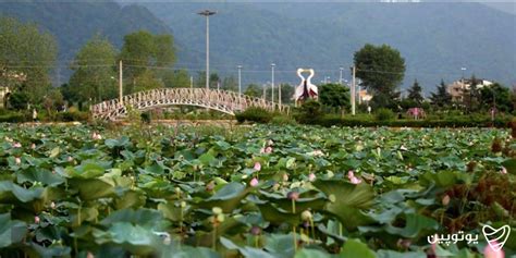 جاهای دیدنی لنگرود 19 مکان دیدنی به همراه عکس، آدرس و لوکیشن