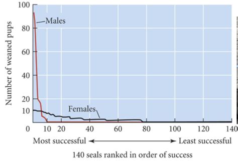 Biol 201 Midterm 2 Flashcards Quizlet