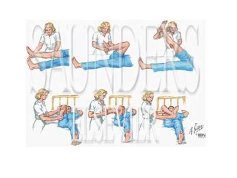 Mobility And Immobilityppt