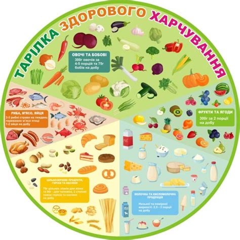 Стенд «Тарілка здорового харчування