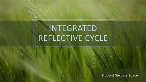 Integrated Reflective Cycle Youtube