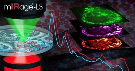 Frontiers In Microscopy And Microanalysis Seminar Multi Modal Widefield Submicron Ir O Ptir