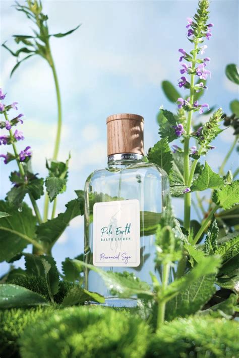 拉夫劳伦香氛 用气味记录，地球的风景 知乎