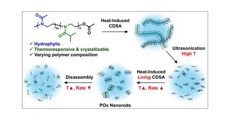 Heat Induced Living Crystallization Driven Self Assembly The Effect Of Temperature And Polymer
