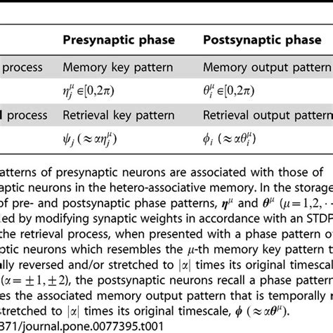 Structure Of Hetero Associative Memory Model A Schematic Diagram Of