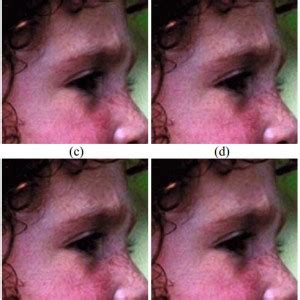 Sparse Representation based Image Interpolation with Nonlocal Autoregressive Modeling متلبی