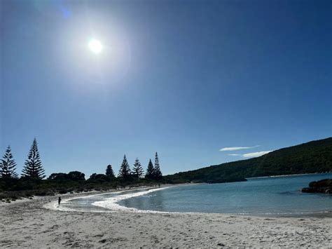 E Commerce Data Analysis Sql Project By Ming S Lu Medium