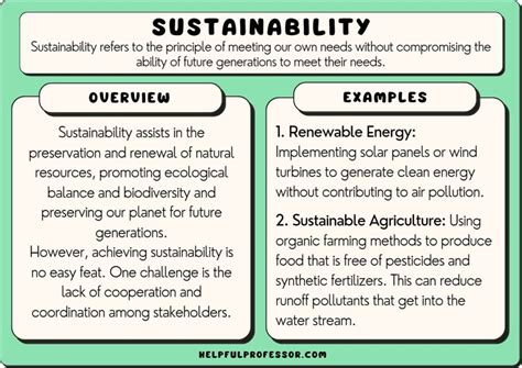 10 effective examples of sustainable practices for everyone