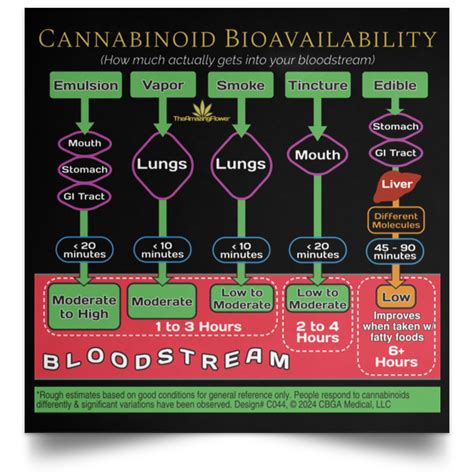 Cannabinoid Bioavailability Poster Cbga Medical Llc
