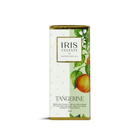 High Quality Intricate Temple Shaped Marble Oil Diffuser Wallmantra