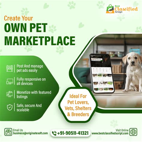 Difference Between A Classified Script And A Cms Which One Should You