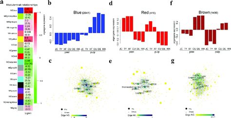 Functions And Networks Of Coexpression Module Genes A Module Trait Download Scientific Diagram
