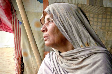 Uterusdidelphysrealpictures Photos Download The Best Free Uterusdidelphysrealpictures