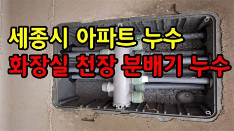 욕실 And 화장실 천장 이중배관 수도 분배기 누수 And 화장실 천장에서 물이 떨어져요세종 누수탐지 아파트 누수 세종시누수세종누수탐지세종아파트누수 Youtube
