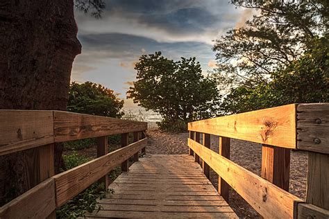 Boardwalk Walkway Background Images Hd Pictures And Wallpaper For Free