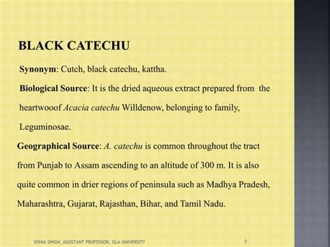 Catechu Pptx Woodworking Arts And Crafts