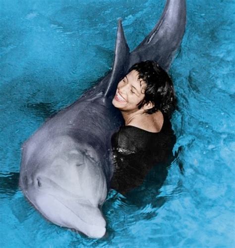 Peter The Dolphin The Human Exception