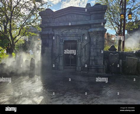 Editorial Use Only Orlando Florida January 2026 The Eerie Fog
