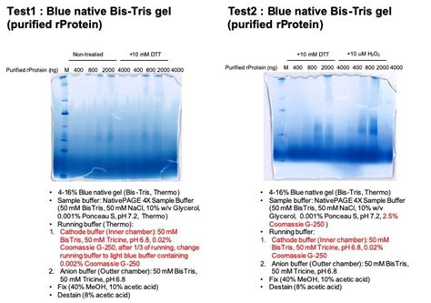 Tris Glycine Native Running Buffer Recipe