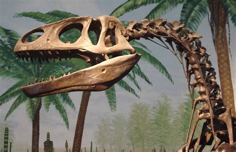 Megalosaurus Skeleton