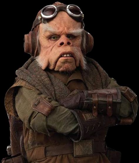 Star Wars The Mandalorian Brown Nick Nolte Kuiil Vest