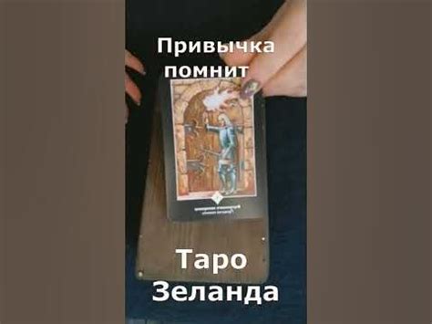 таро зеланд совет - YouTube