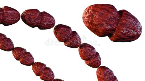 Vancomycin Stock Illustrations 89 Vancomycin Stock Illustrations Vectors And Clipart Dreamstime