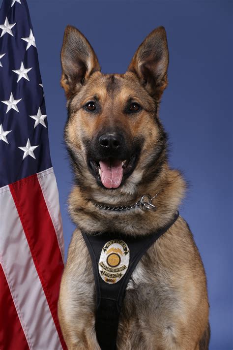 Chase Blank Template Imgflip