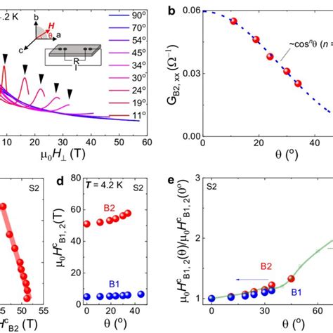 Spinor Prohibition Effects On The Longitudinal Magnetoresistance
