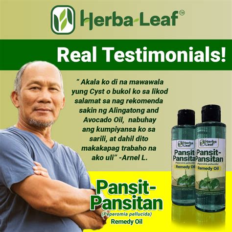 Pansit Pansitan Herbal Leaf Oil 50ml Only Shopee Philippines