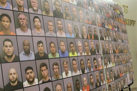 Months Long Operation Targeting Sex Offenders Nets 176 Arrests News