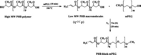 Scheme 1. The synthetic scheme for the formation of PHA-mPEG diblock... | Download Scientific ...