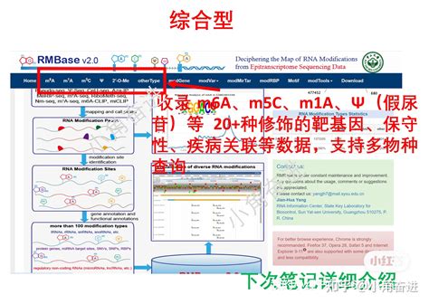 Rna修饰预测网站 知乎