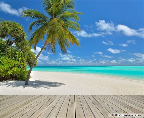 🔥 [40 ] Tropical Beach Scenes Wallpapers Wallpapersafari
