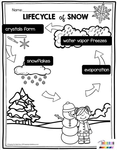 pin on snow winter themed printables and activities
