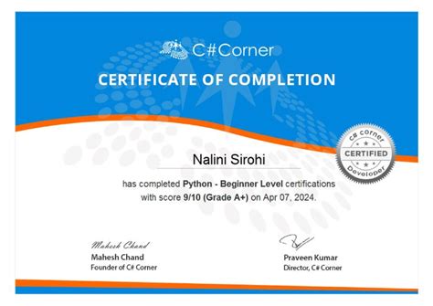 Nalini Sirohi On Linkedin I Successfully Completed A Beginner Level
