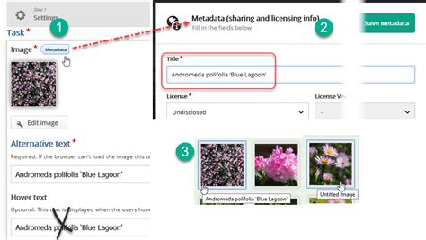 Hover Text For Images Not Working H5p