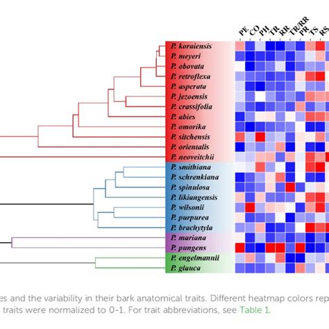 Bark Anatomical Traits Analyzed Download Scientific Diagram